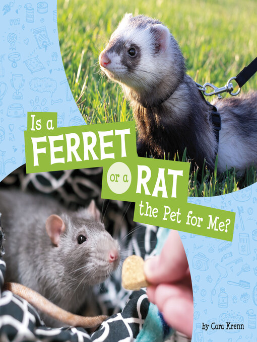 Libby - Is a Ferret or a Rat the Pet for Me?